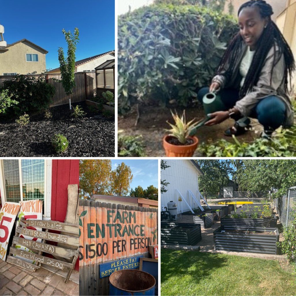 Community | KDC Construction